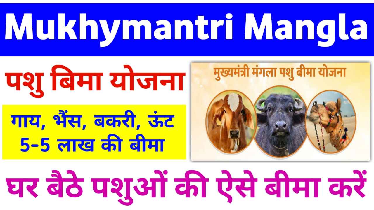 Mukhymantri Mangla Pashu Bima Yojana: मुख्यमंत्री मंगला पशु बीमा योजना ...